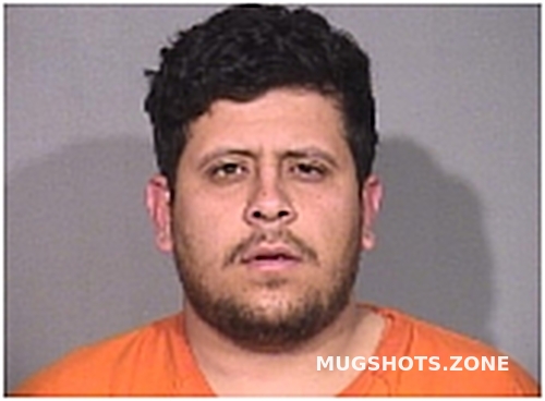 ANDY GONZALEZ-VALERA 05/03/2025 - Mchenry County Mugshots Zone