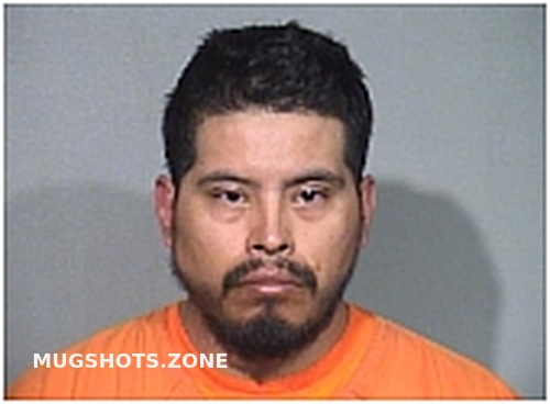 JUAN A REYES-RIVAS 05/15/2025 - Mchenry County Mugshots Zone