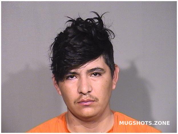 ROBLES-PEREZ CARLOS F 06/13/2025 - Mchenry County Mugshots Zone
