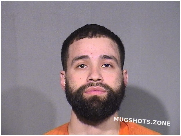 CHRISTIAN MORALES 11/30/2025 - Mchenry County Mugshots Zone
