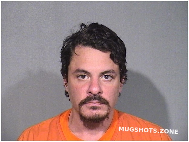 MICHAEL LOSEY 12/07/2025 - Mchenry County Mugshots Zone