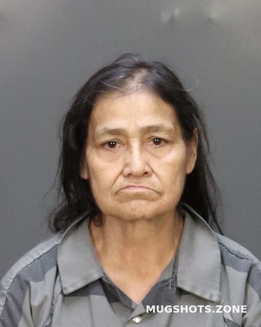 Honesto Irene 04 09 2023 Mclennan County Mugshots Zone