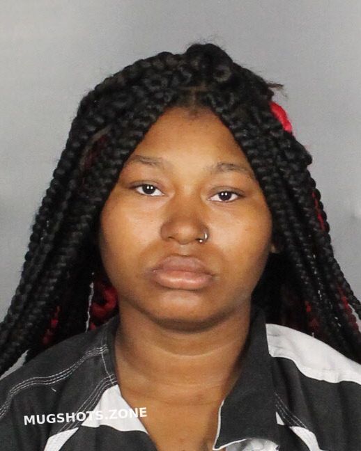 WILLIAMS DANEQUA 04/27/2023 - McLennan County Mugshots Zone