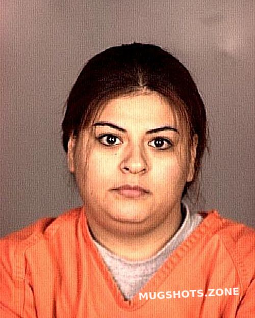 ARECHIGA TRISH 10/23/2023 - McLennan County Mugshots Zone