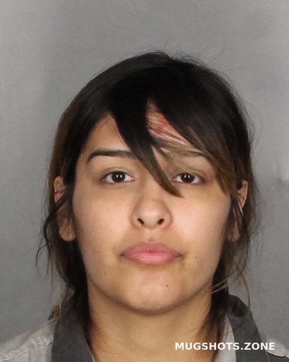 HERNANDEZ SIERRA 11/07/2023 - McLennan County Mugshots Zone