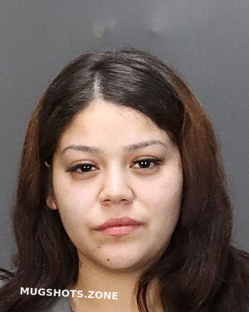 CASTILLO CRISTIANA 11/13/2023 - McLennan County Mugshots Zone