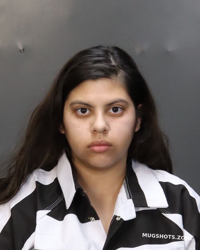 SUAREZ GABRIELA 11/29/2023 - McLennan County Mugshots Zone