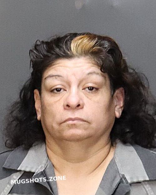 FLORES TONI 12/22/2023 - McLennan County Mugshots Zone