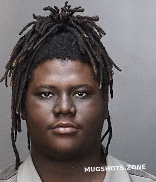 GUILFORD DEMARION 02/17/2024 - McLennan County Mugshots Zone