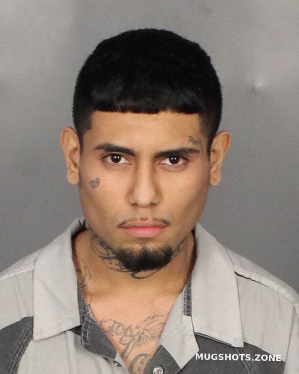 DELGADO ERIC 02/26/2024 - McLennan County Mugshots Zone