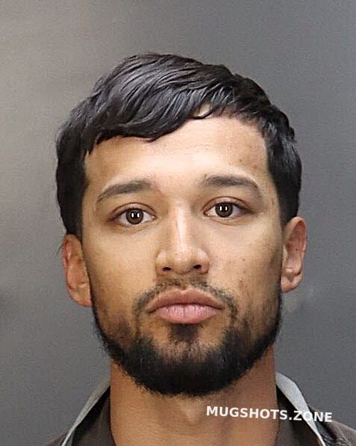 PINA JASON 04/08/2024 - McLennan County Mugshots Zone