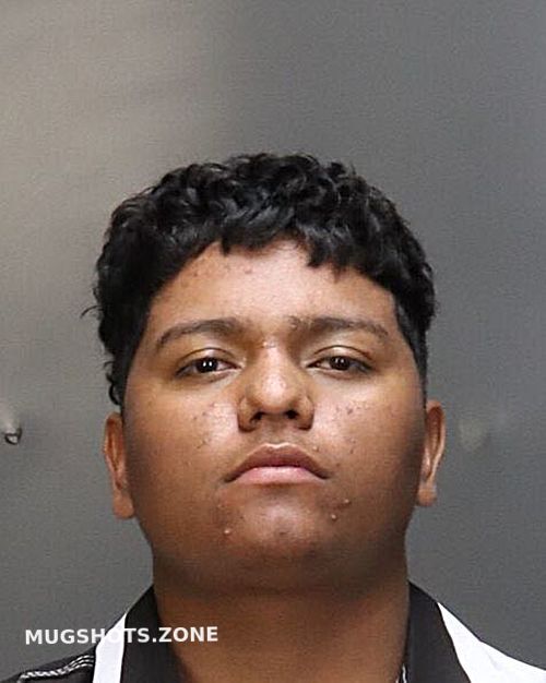 RODRIGUEZ HENRY 06/04/2024 - McLennan County Mugshots Zone