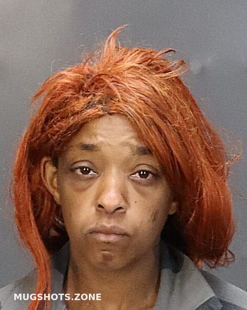 BRISTOL ERICA 06/17/2024 - McLennan County Mugshots Zone