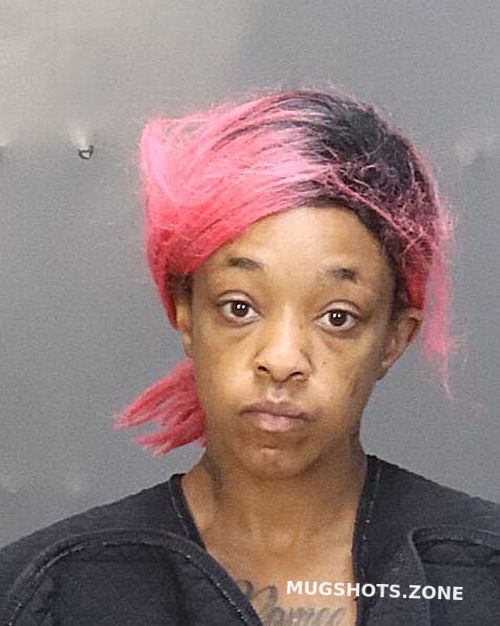 BRISTOL ERICA 11/07/2024 - McLennan County Mugshots Zone