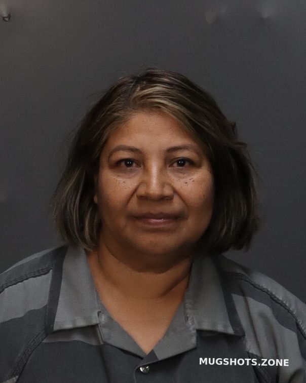 GAITAN SANDRA 01/31/2025 - McLennan County Mugshots Zone