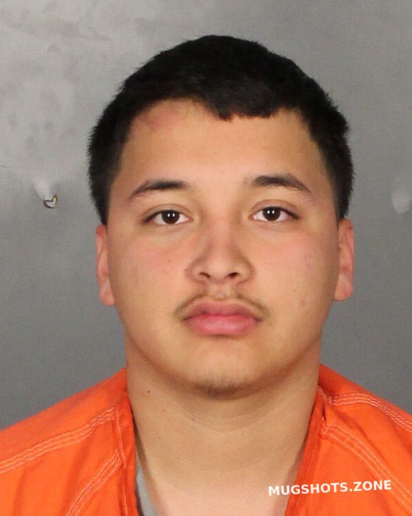 HAMBY SHAWN 03/27/2025 - McLennan County Mugshots Zone