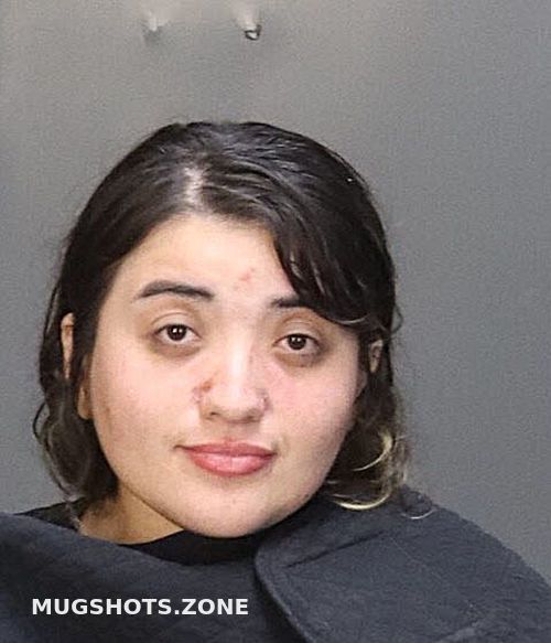 CARRIZALES LILIANA 04/04/2025 - McLennan County Mugshots Zone