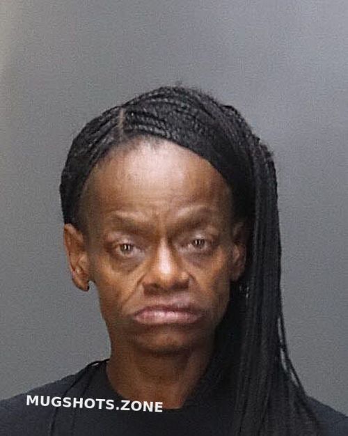 NEWSOME SHARION 04/09/2025 - McLennan County Mugshots Zone