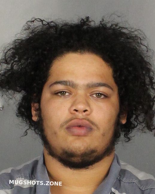 GARZA-SMITH CAMERON 04/22/2025 - McLennan County Mugshots Zone