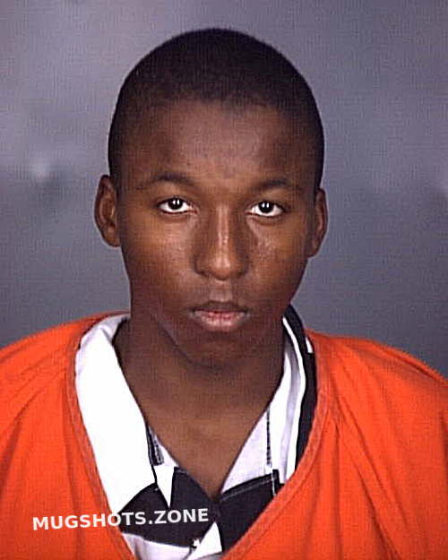 LOCKHART VINCENT 04/27/2025 - McLennan County Mugshots Zone