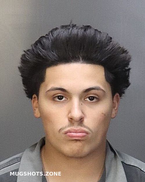 DESOTO NICO 04/29/2025 - McLennan County Mugshots Zone