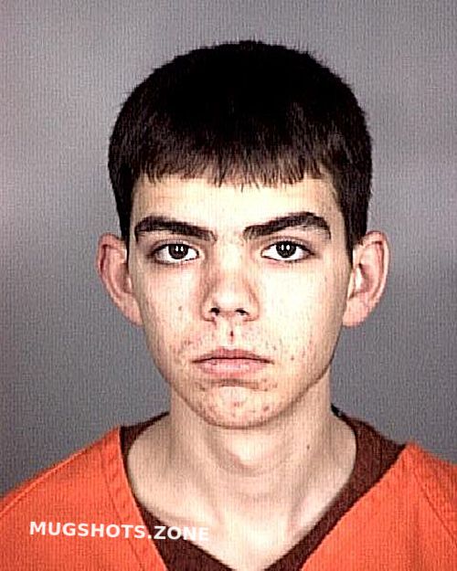 MCBRYDE MICHAEL 05/30/2025 - McLennan County Mugshots Zone