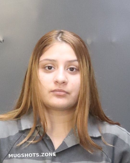 HERNANDEZ DAISY 11/20/2025 - McLennan County Mugshots Zone