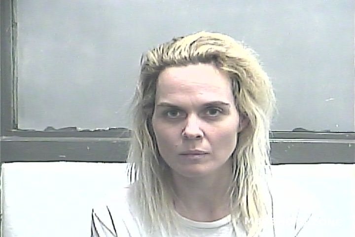 NAPIER ANNIE R 01/17/2021 - Meade County Mugshots Zone