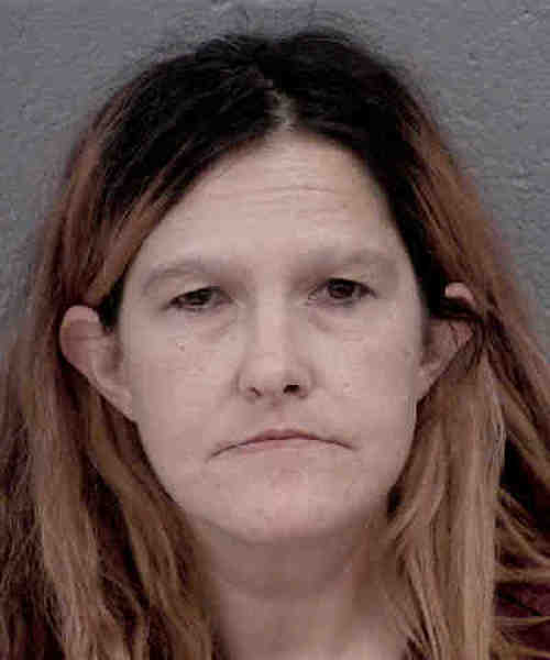 GODWIN PATRICIA 01/09/2021 - Mecklenburg County Mugshots Zone
