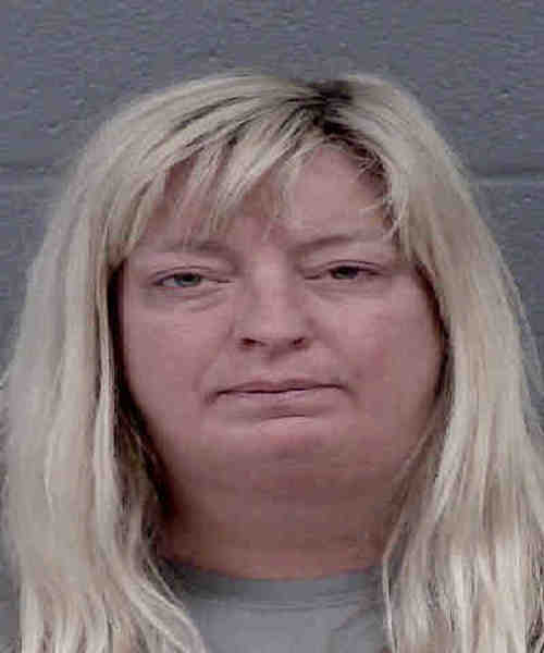 FLECKENSTEIN SHERI THERSA 01/25/2021 - Mecklenburg County Mugshots Zone