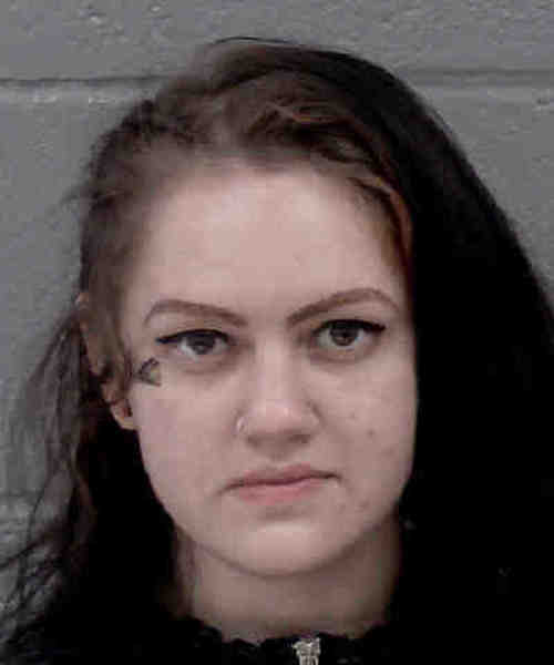 PROFFIT JORDAN MICHELLE 02/04/2021 - Mecklenburg County Mugshots Zone