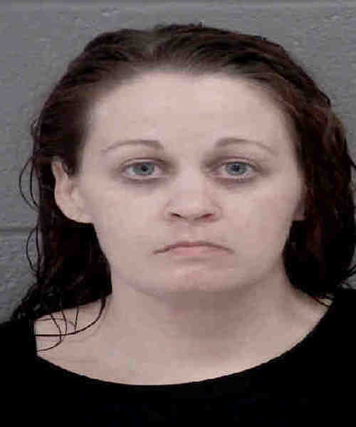 HOLDER ALYSON NICOLE 04/03/2021 - Mecklenburg County Mugshots Zone