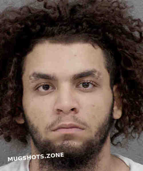 HEGAZY SHADY ABEDELHADY 06/12/2021 - Mecklenburg County Mugshots Zone