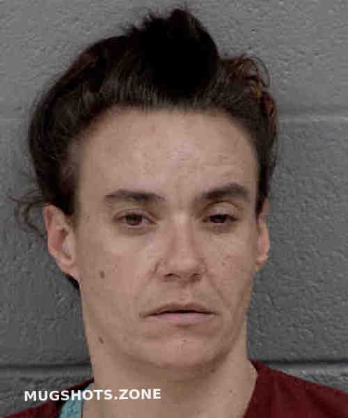 SCHNEIDER JAMIE LYNN 11/19/2021 - Mecklenburg County Mugshots Zone