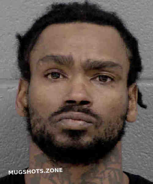 WILLIAMS AVIS DOMINIC 01/10/2022 - Mecklenburg County Mugshots Zone