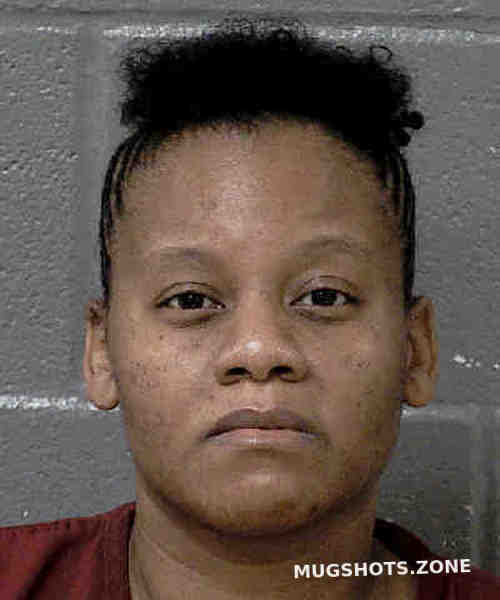 JOHNSON CHARITY S 02/08/2022 - Mecklenburg County Mugshots Zone