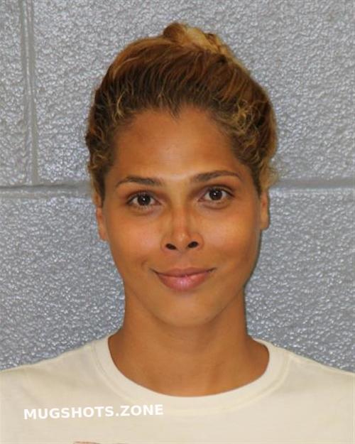 ARCIERI NICOLET ANN 06/20/2022 - Mecklenburg County Mugshots Zone