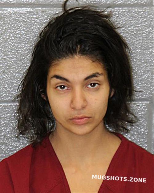 COSTEA ANA MARIA 12/23/2023 - Mecklenburg County Mugshots Zone