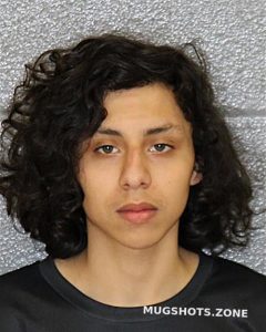 ALVARENGA ERIC 01/06/2024 - Mecklenburg County Mugshots Zone