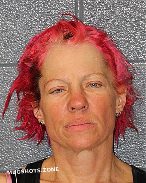 HILL SANDI LEIGH 01/12/2024 - Mecklenburg County Mugshots Zone