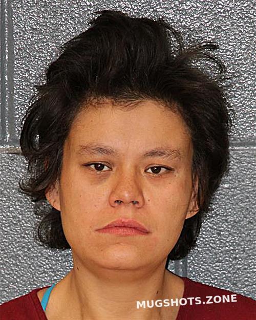 ROBINSON JESSICA LASHAY 01/30/2024 - Mecklenburg County Mugshots Zone
