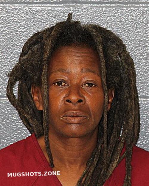 JOHNSON TROY SHERELLE 02/16/2024 - Mecklenburg County Mugshots Zone