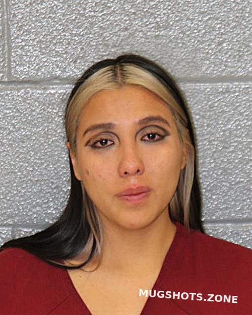 PINON LESLIE RAYON 11/03/2024 - Mecklenburg County Mugshots Zone
