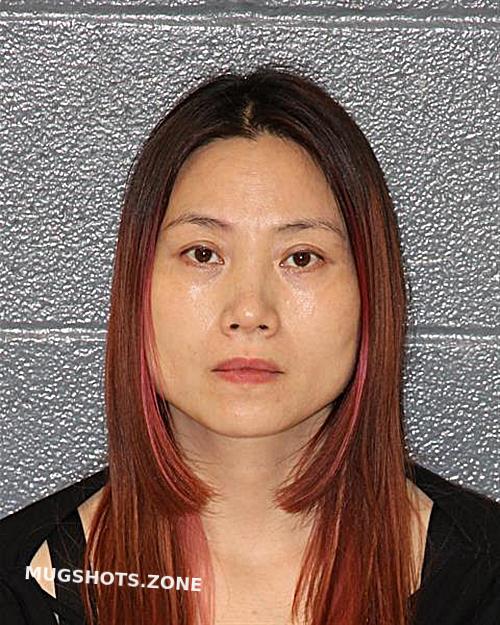 TANG XIU YING 11/21/2024 - Mecklenburg County Mugshots Zone