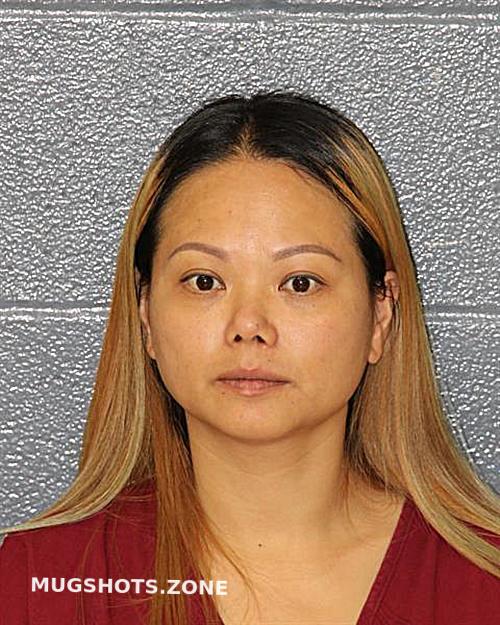 CHEN MEI ZHEN 11/22/2024 - Mecklenburg County Mugshots Zone