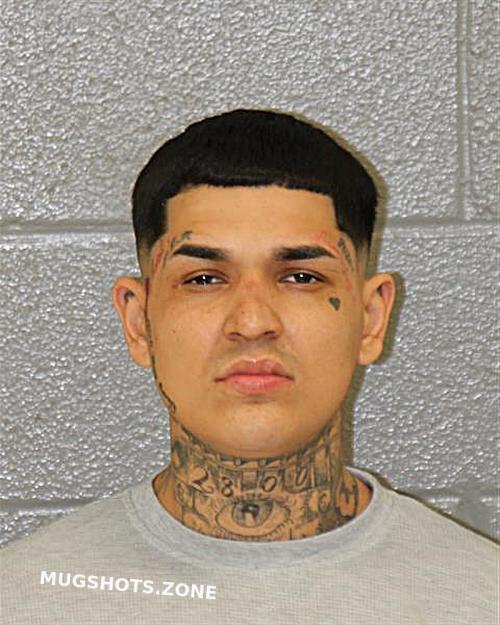 MONROY GIOVANNI 11/29/2024 - Mecklenburg County Mugshots Zone