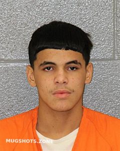 Mecklenburg County Mugshots Zone