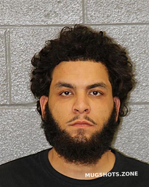HEGAZY SHADY 02/11/2025 - Mecklenburg County Mugshots Zone