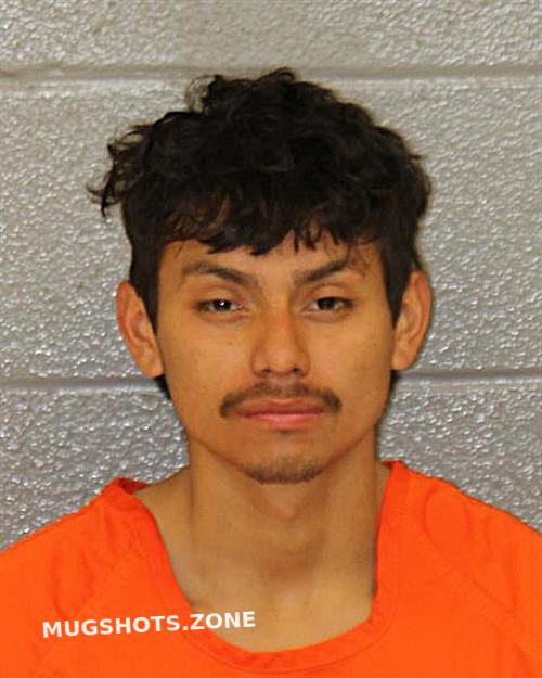 VELASQUEZ JESUS ANDI 03/06/2025 - Mecklenburg County Mugshots Zone