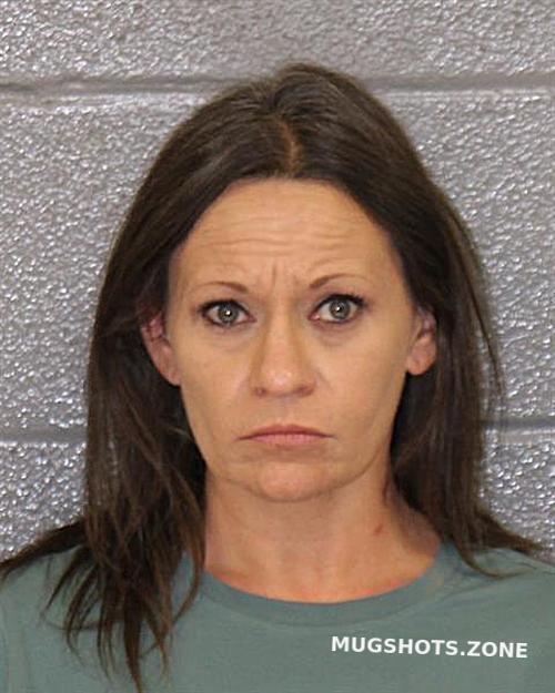 REED DIXIE DAWN 04/11/2025 - Mecklenburg County Mugshots Zone